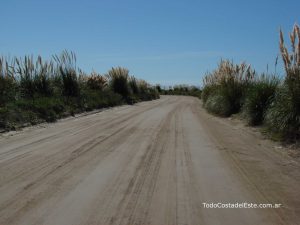 Safari fotográfico en Punta Rasa