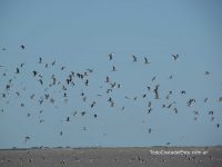 Safari fotográfico en Punta Rasa