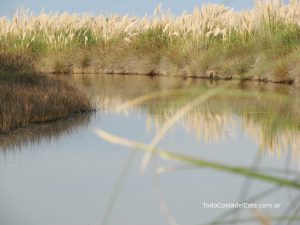 Safari fotográfico en Punta Rasa