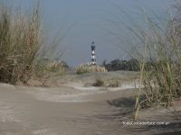 Safari fotográfico en Punta Rasa